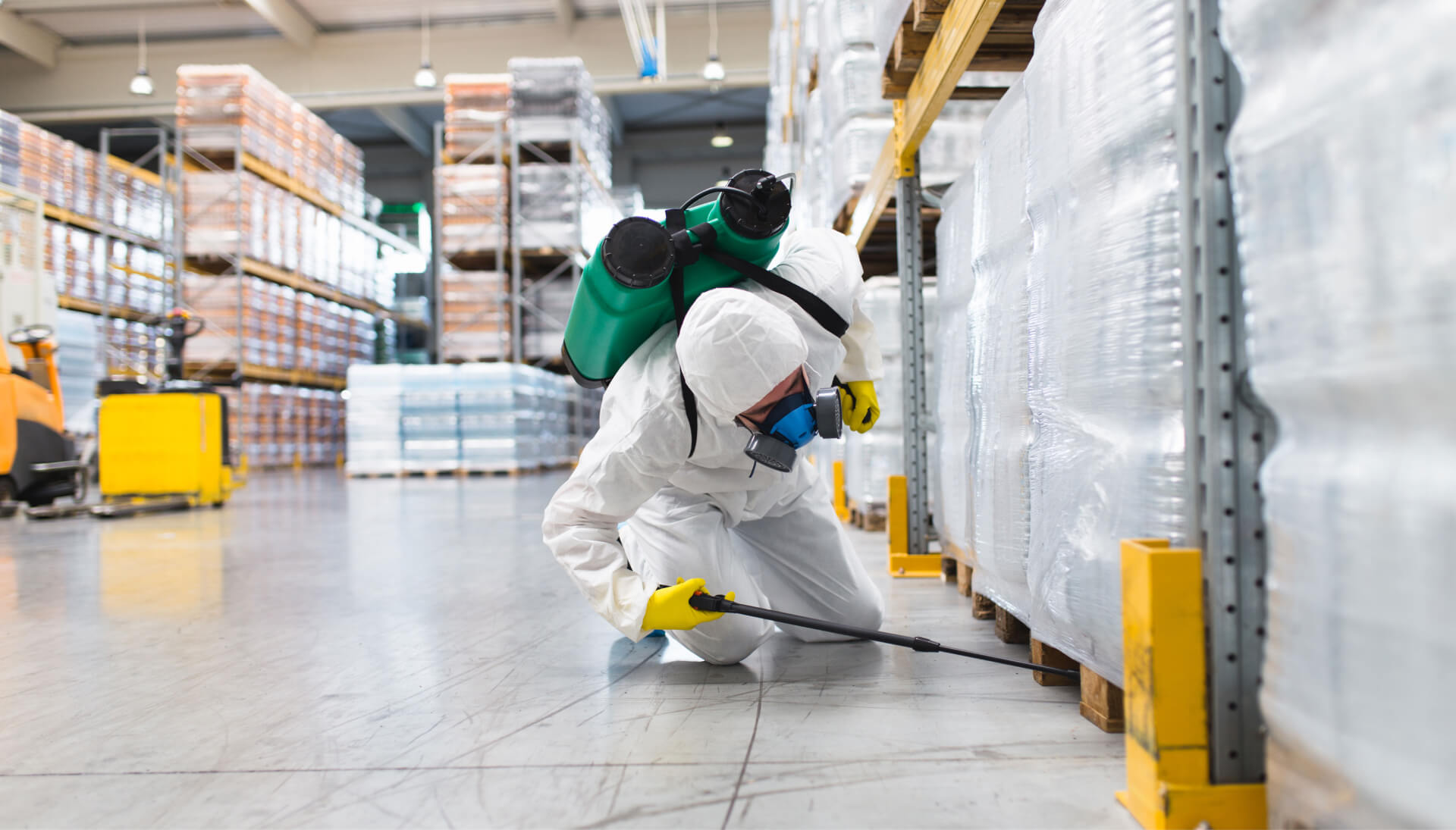 Get Quotes for Local Termite Inspections in Anaheim, CA